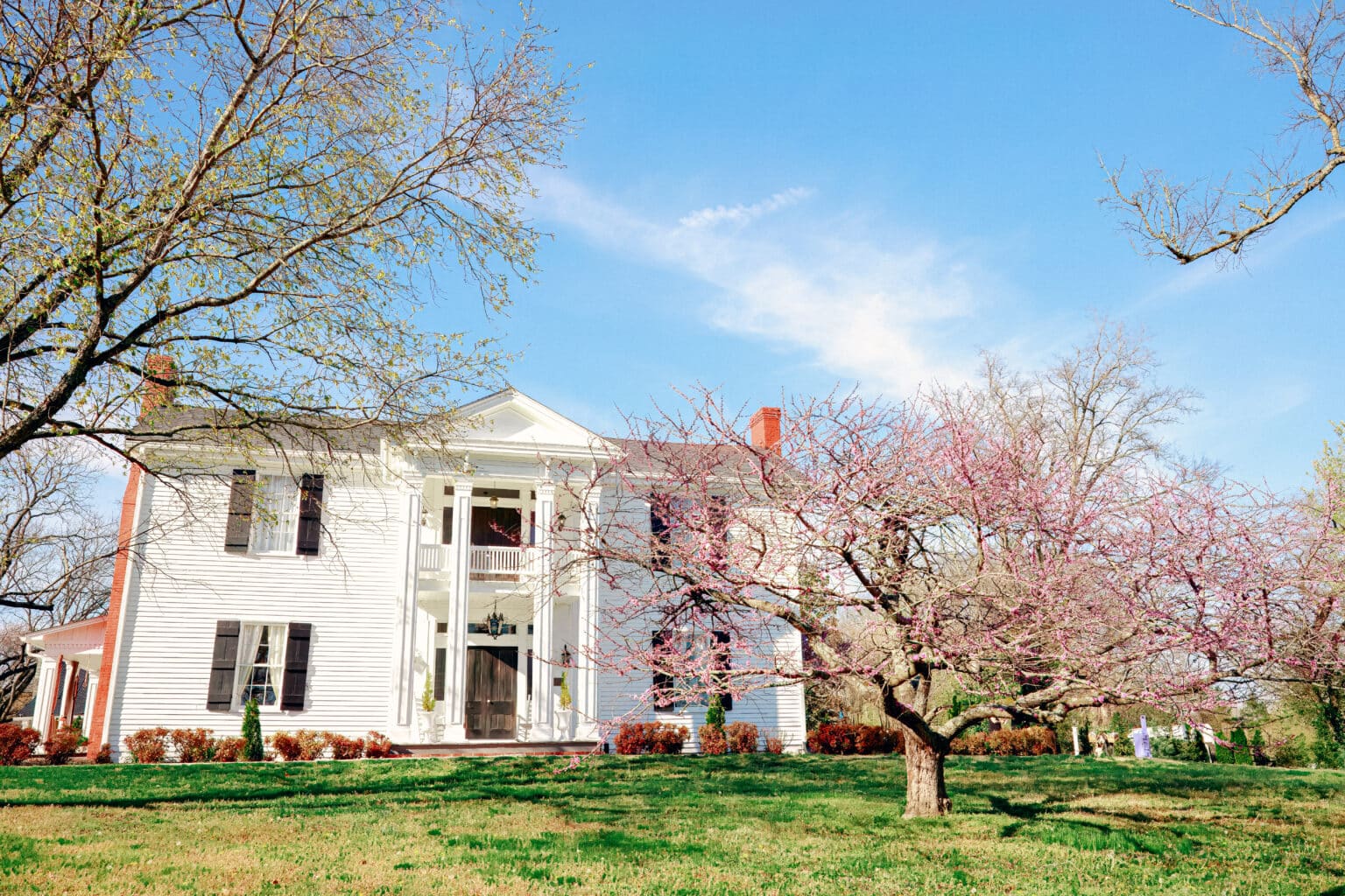 Macca Villa: The Perfect Italian-Inspired Wedding Venue in Murfreesboro ...